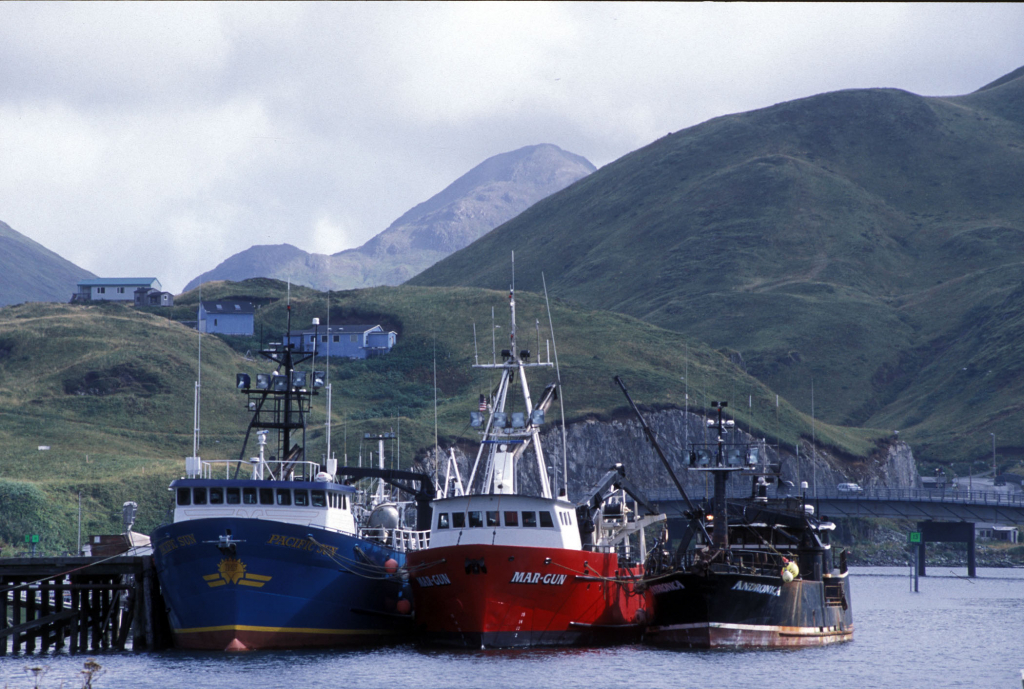 Arctic Policy Study Group: Arctic Fisheries