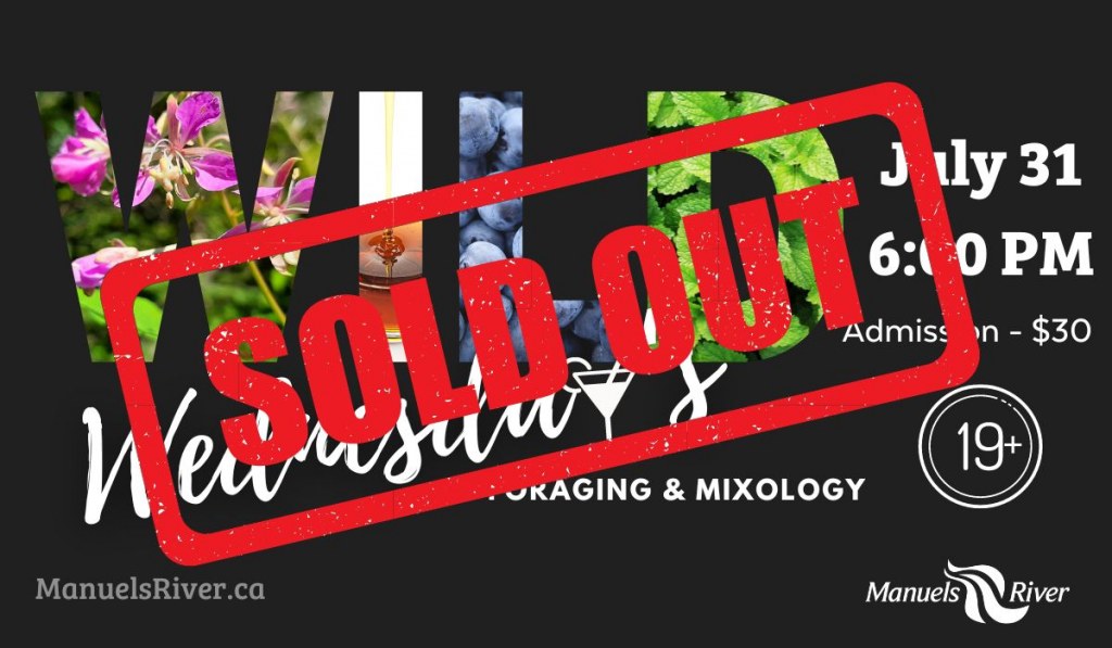 66475c6461877637c8041439.jpg?1722250306