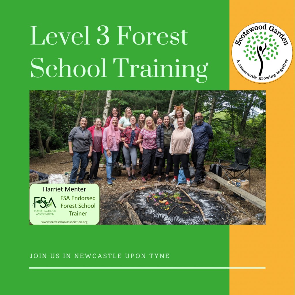 Upcoming FSA Endorsed Training and CPD courses | Forest School Association