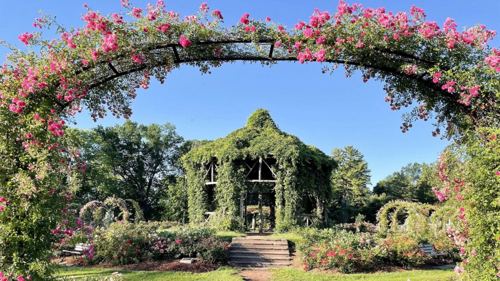 67db087efe73b51bf4075e67.jpg?1742822596