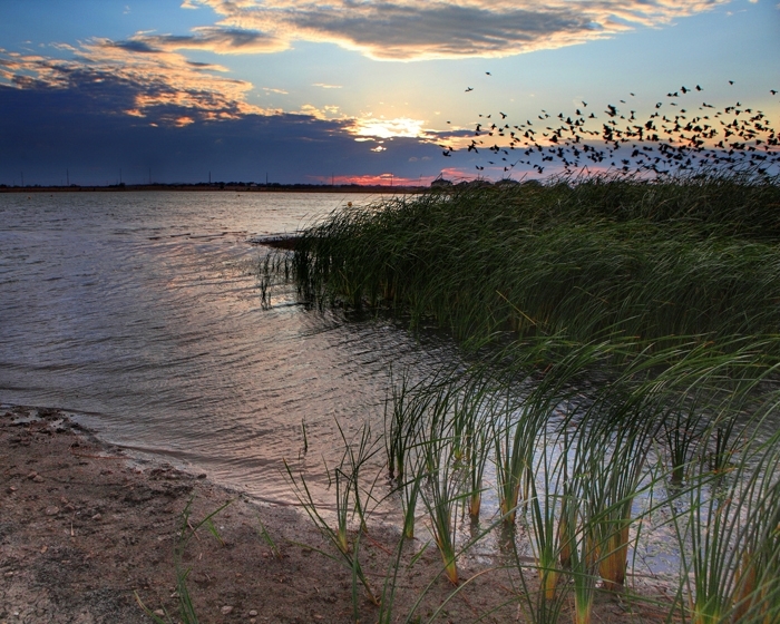 Easy Breezy Walk Around Lake Pflugerville – Hill Country Outdoors