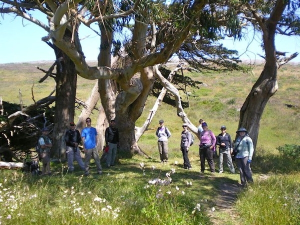 Hike the Tule Elk Preserve to Tomales Point in Point Reyes, 7/14 | Bay ...