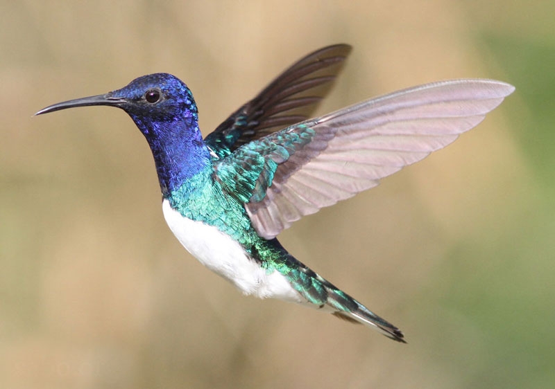 5b2d34e7afd691881a28dcbd.jpg?1541878815