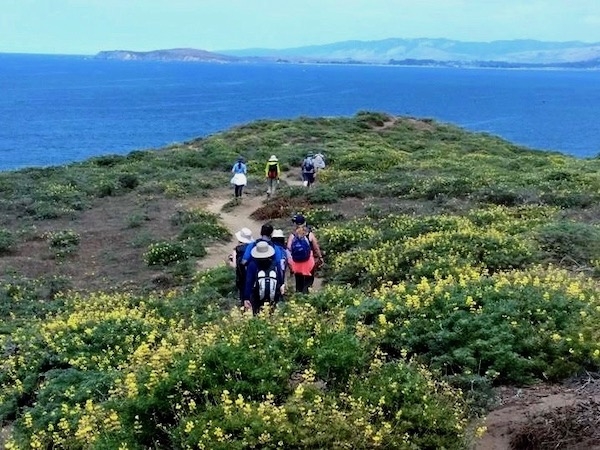 Hike the Tule Elk Preserve to Tomales Point in Point Reyes National ...