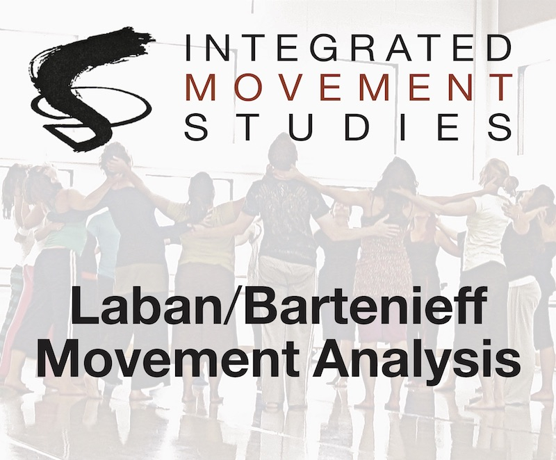 Image for Integrated Movement Studies - Summer Immersion Workshop