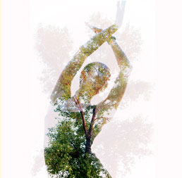 Image for Facilitating Your Body’s Magic With Aston® Kinetics