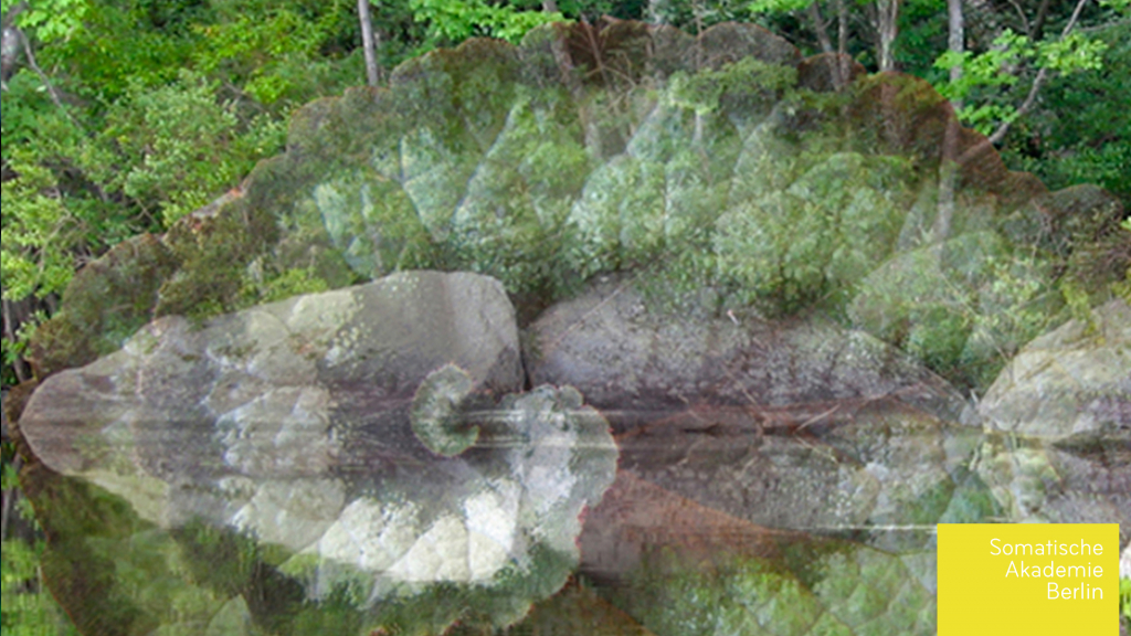 Image for Continuum and Body of Relating - a workshop with Susan Harper
