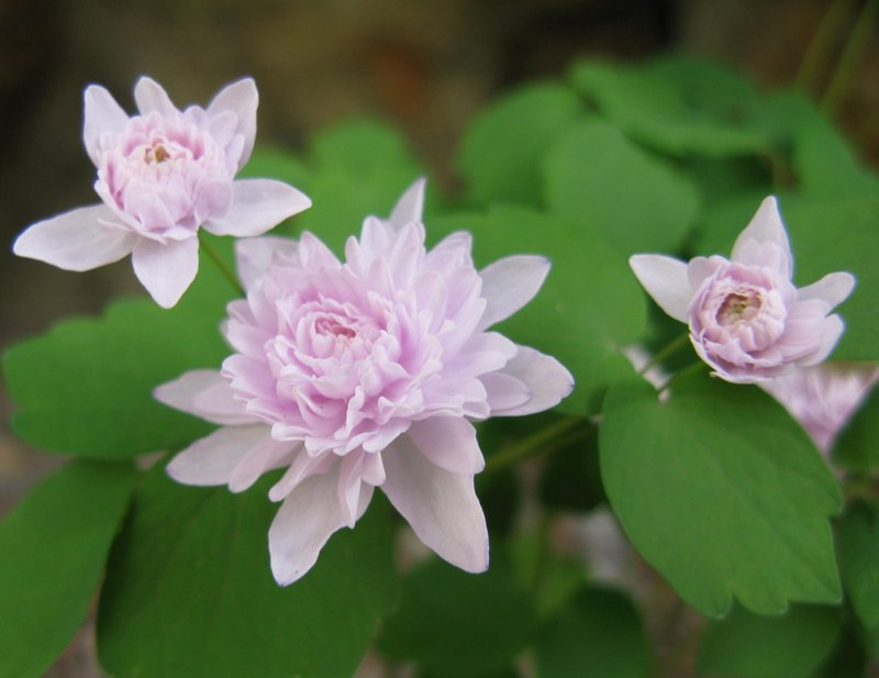 Saturday Visitation Sign-up