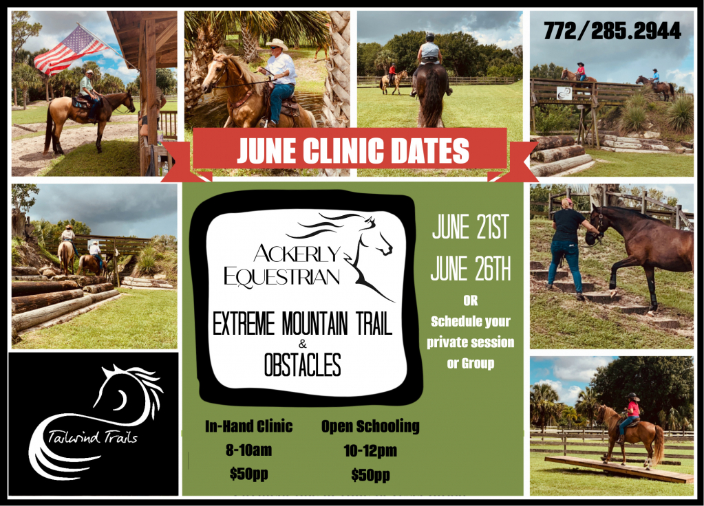 Extreme Mountain Trail Course – Tailwinds Trails