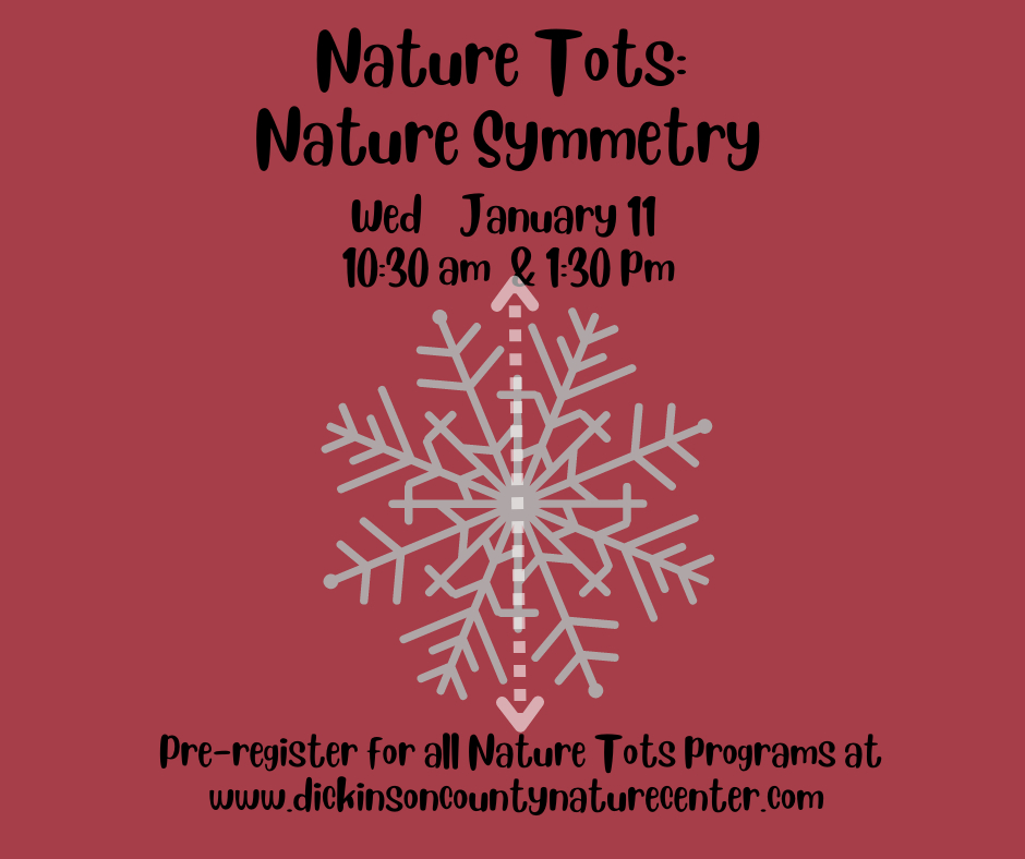 Nature Tots: Nature Symmetry – Dickinson County Conservation Board