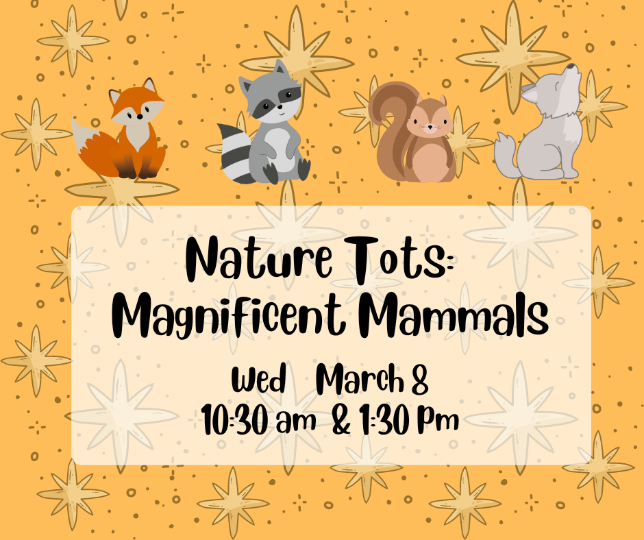 Nature Tots: Magnificent Mammals – Dickinson County Conservation Board