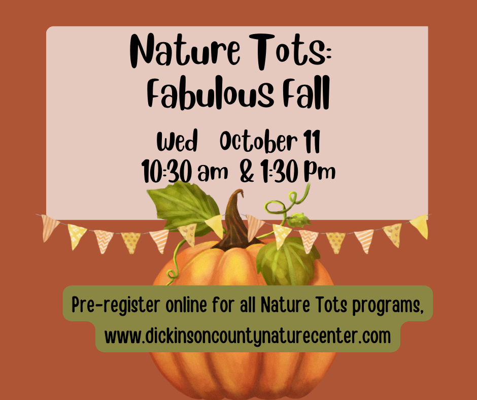 Nature Tots: Fabulous Fall – Dickinson County Conservation Board