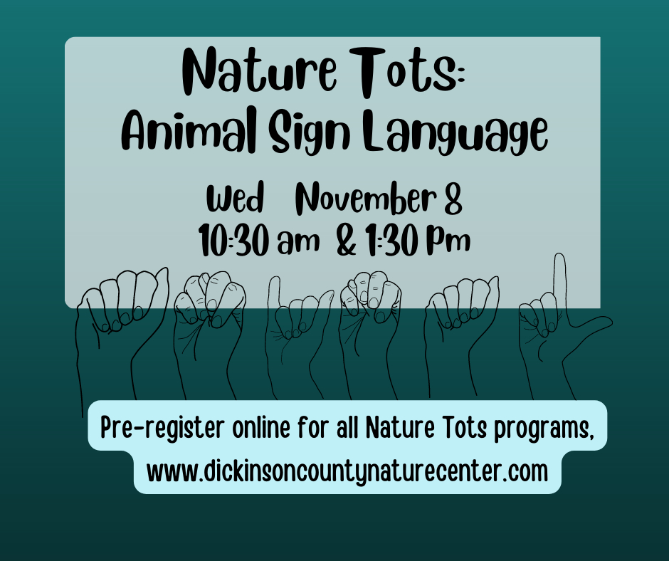 Nature Tots: Animal Sign Language – Dickinson County Conservation Board