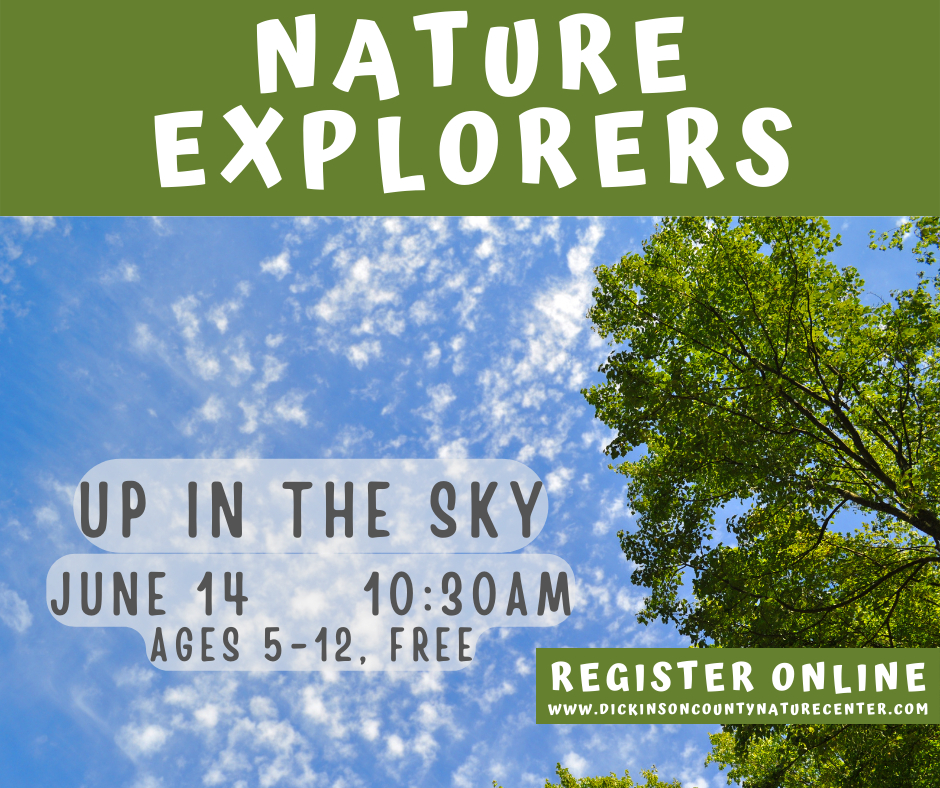 Nature Explorers: Up in the Sky – Dickinson County Conservation Board