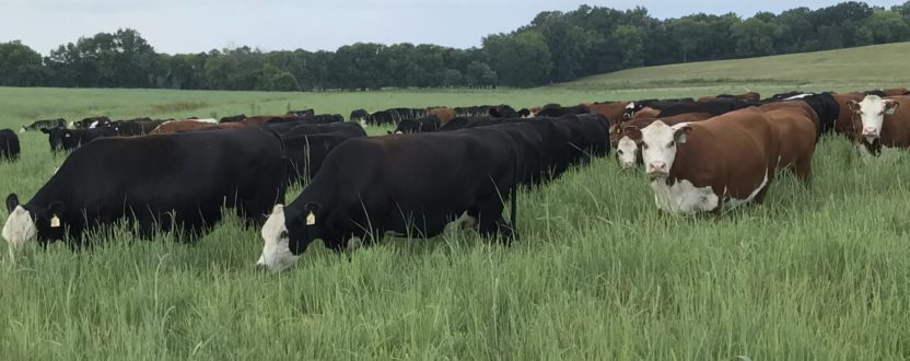 Farming Events - Virginia Association Farming