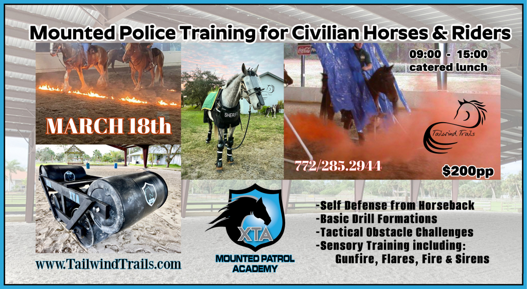 Mounted Police Training for Civilian Horses & Riders – Tailwinds Trails