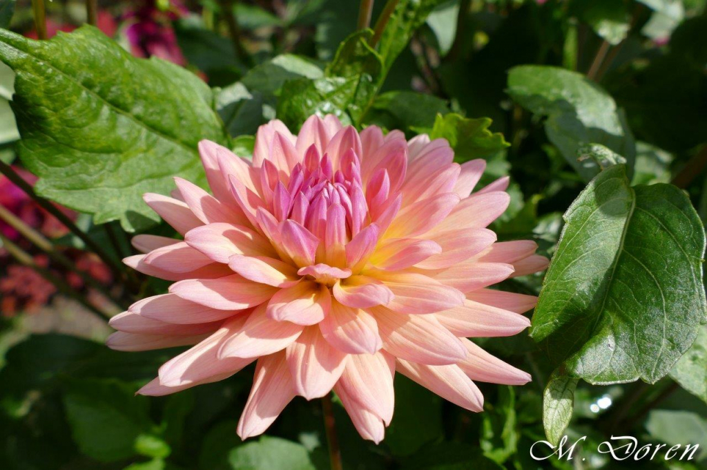 Saturday Visitation Sign-up