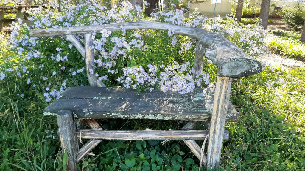 Saturday Visitation Sign-up