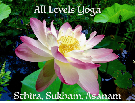 Image for All Levels Yoga w/Kate Ward 9:30 a.m.