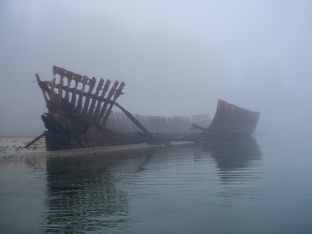 Quail Island – Nature Photography Society of NZ