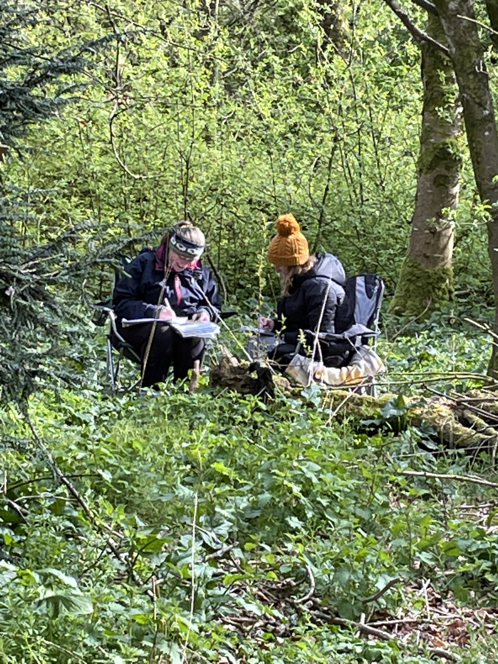 Upcoming FSA Endorsed Training and CPD courses | Forest School Association