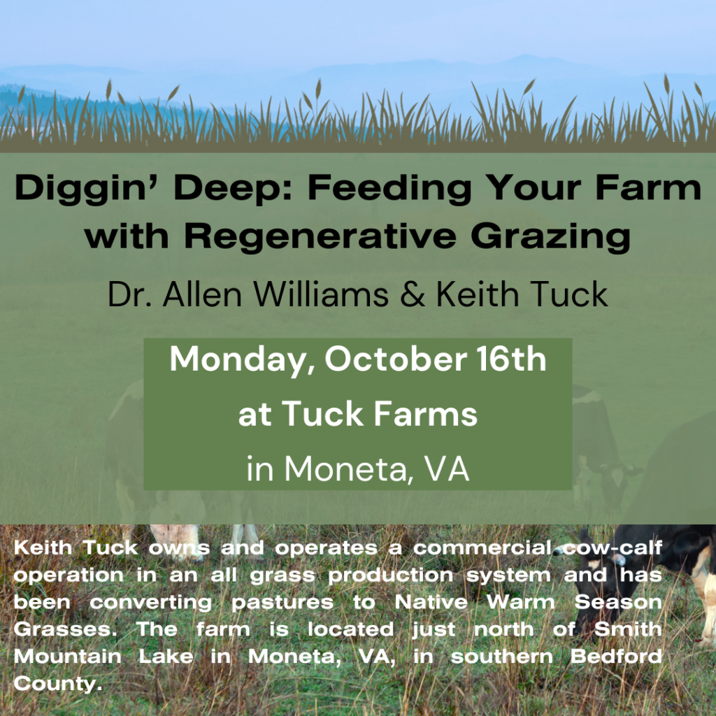 Image for Diggin' Deep: Feeding Your Farm with Regenerative Grazing