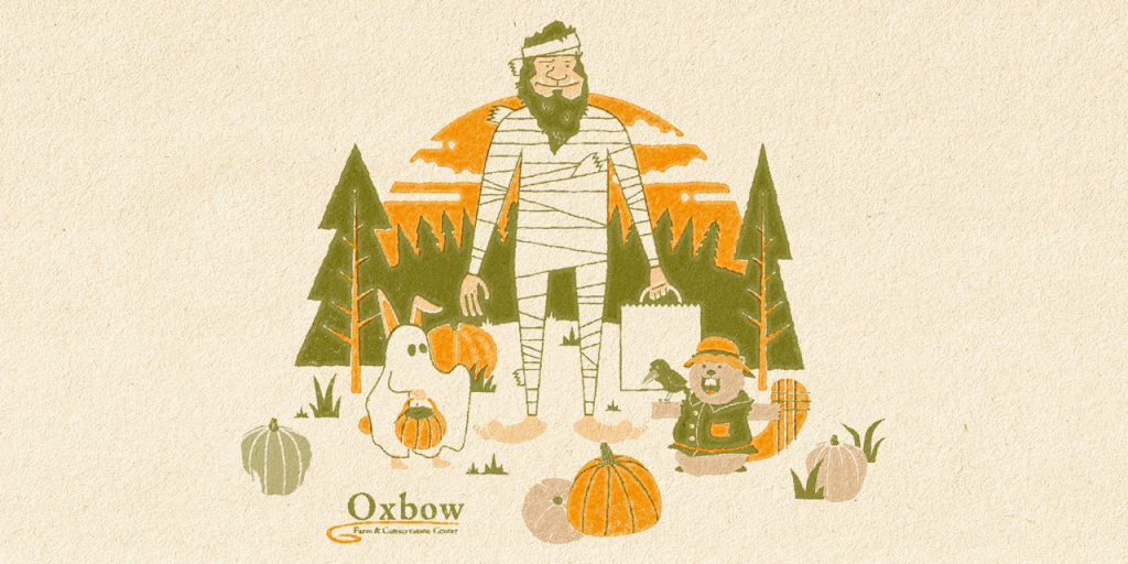 651349716cd08595e90335bb.jpg?1695762801