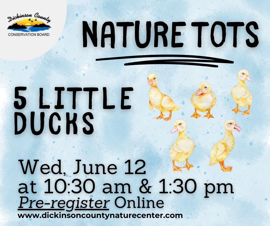Nature Tots: 5 Little Ducks – Dickinson County Conservation Board