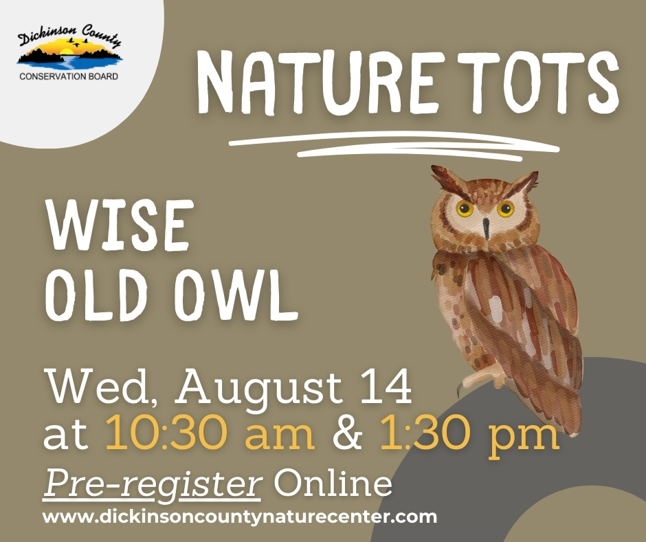 Nature Tots: Wise Old Owl – Dickinson County Conservation Board