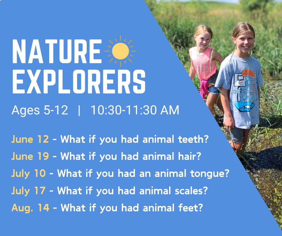 Nature Explorers: What If You Had Animal Scales? – Dickinson County ...