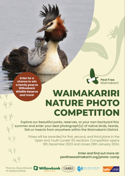 Waimakariri Nature Photographic Competition – Nature Photography ...