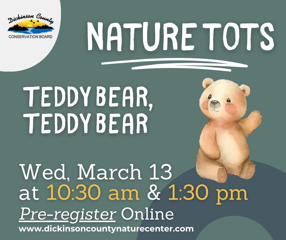 Nature Tots: Teddy Bear, Teddy Bear – Dickinson County Conservation Board