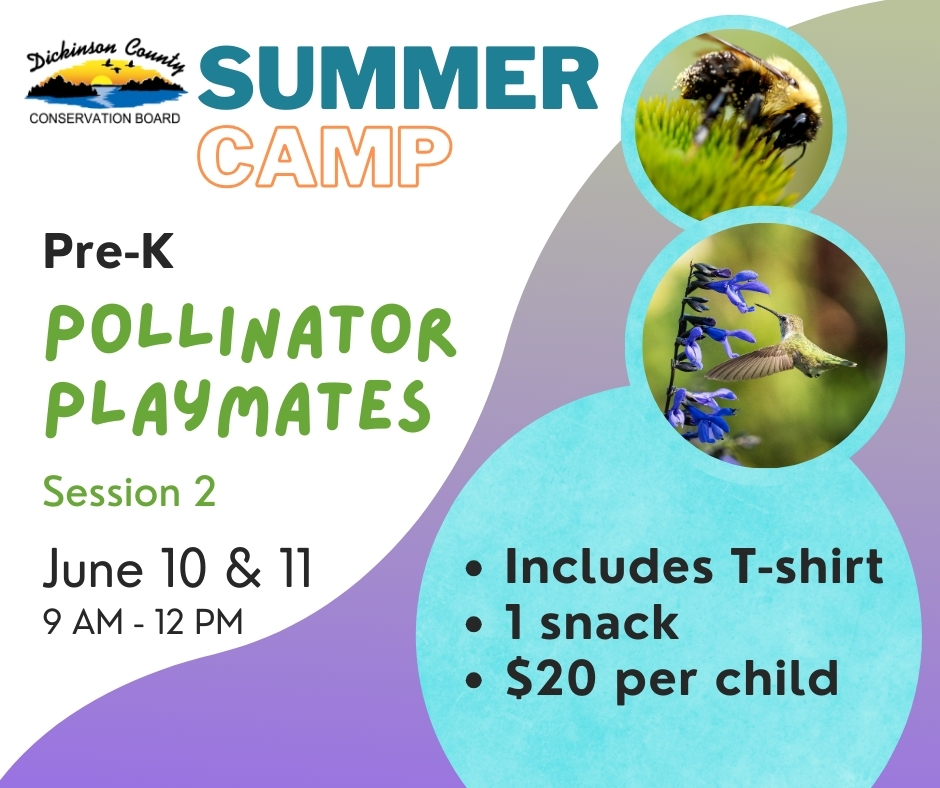 Summer Camp: Pre-K Session 2- Pollinator Playmates – Dickinson County ...