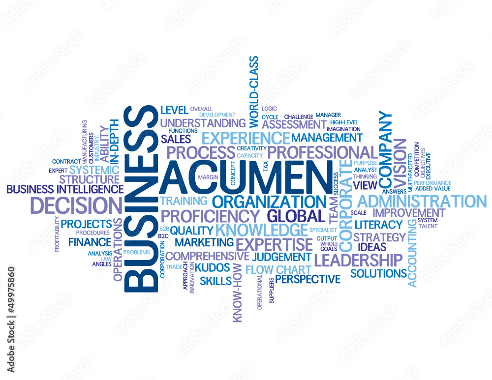 Image for The Demystification of Business Acumen: Leadership ...