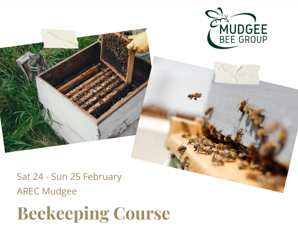 MUDGEE BEE GROUP | Beekeeping Course – Watershed Landcare Incorporated