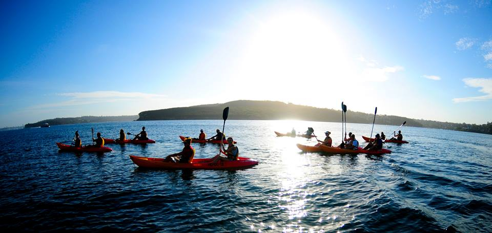 Afternoon Escape to Q Station with Manly Kayak Centre – Manly Business ...