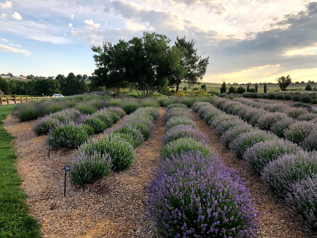 65dcff5f5df82aaa20023ba3.jpg?1708982111