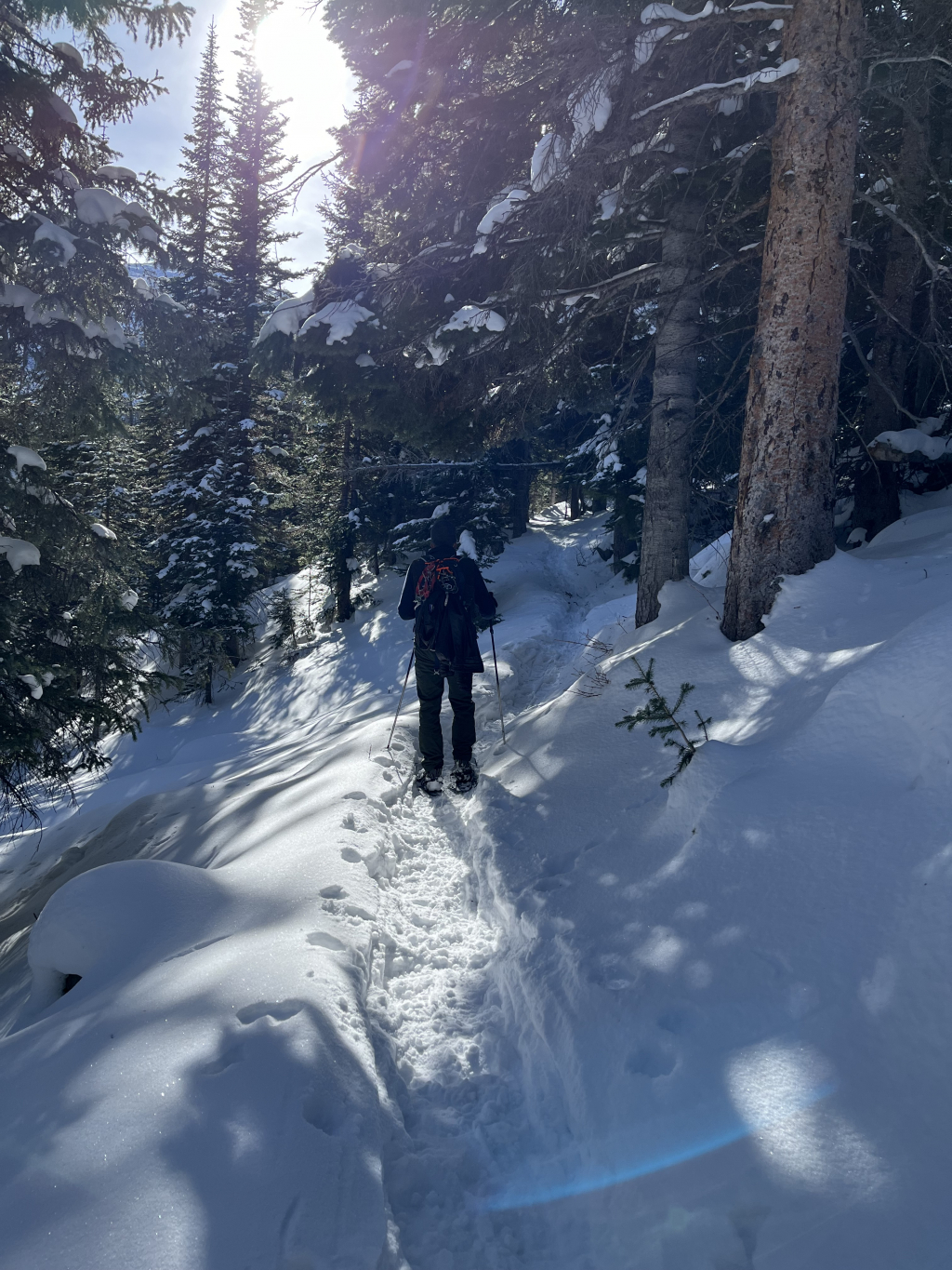 Hiking Group: Cub Lake Loop – The Estes Park Newcomers Club