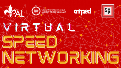 Image for Virtual Speed Networking