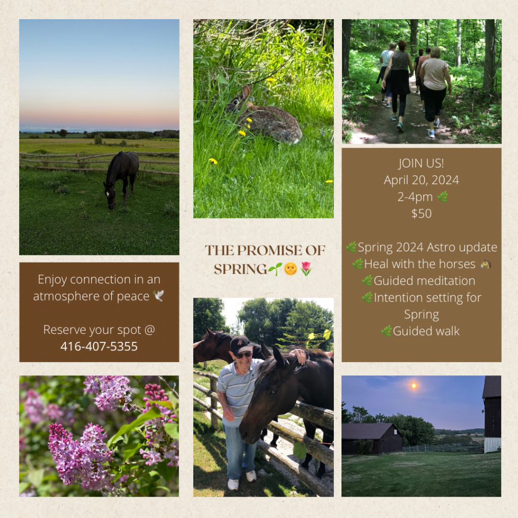 Image for The Promise of Spring!