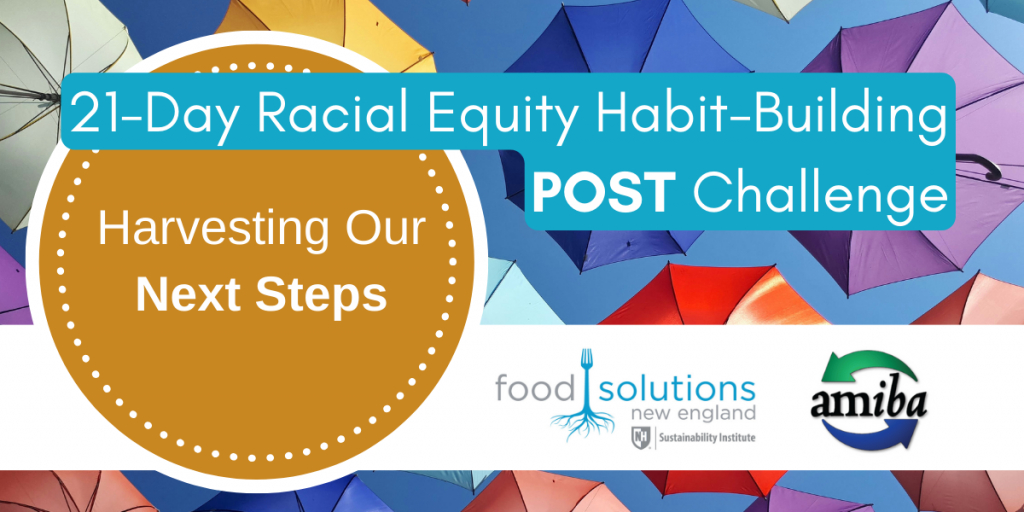 Image for 21-Day Racial Equity Habit-Building Post-Challenge ...