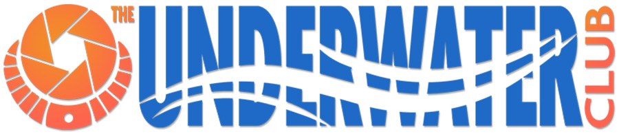 THE UNDERWATER CLUB – Nudibranchs photography with Steve (Coutts) Munoz ...