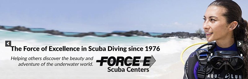 FORCE-E – Dead Men Tell No Tales Paint Night – South Florida Underwater ...