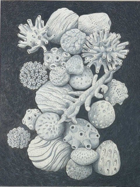 Classes & Events | ArtSpace Maynard