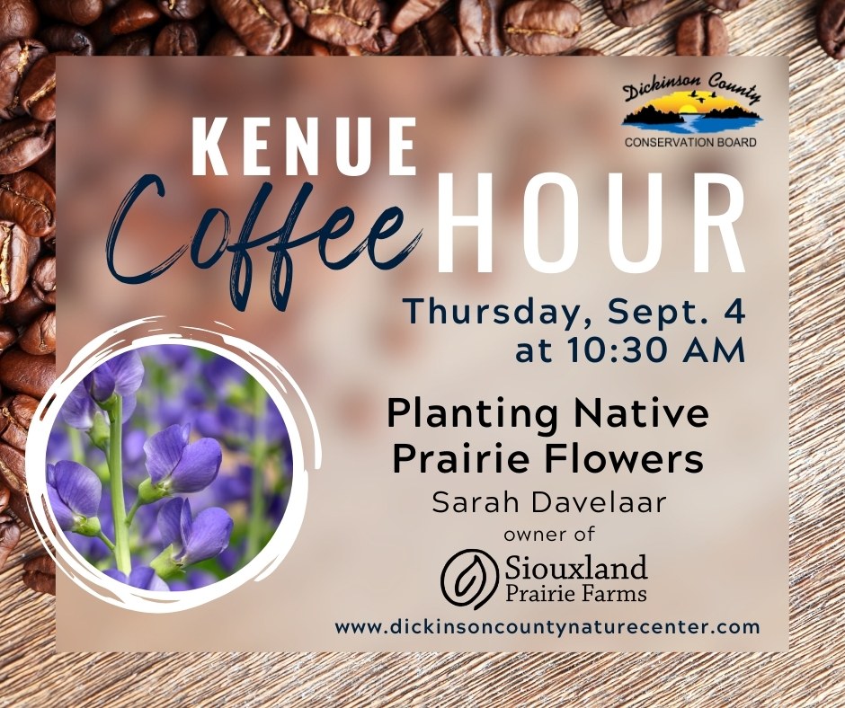 Kenue Coffee Hour: Planting Native Prairie Flowers – Dickinson County ...