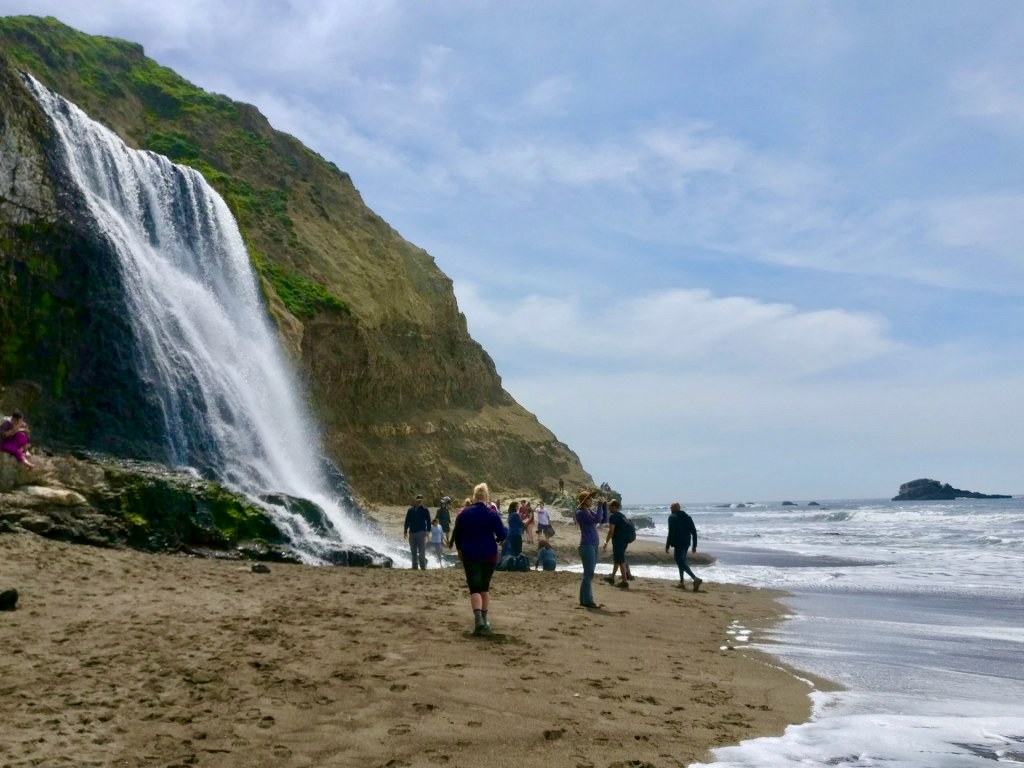 Image for Hike to Alamere Falls in Pt Reyes National Seashore, 2/23