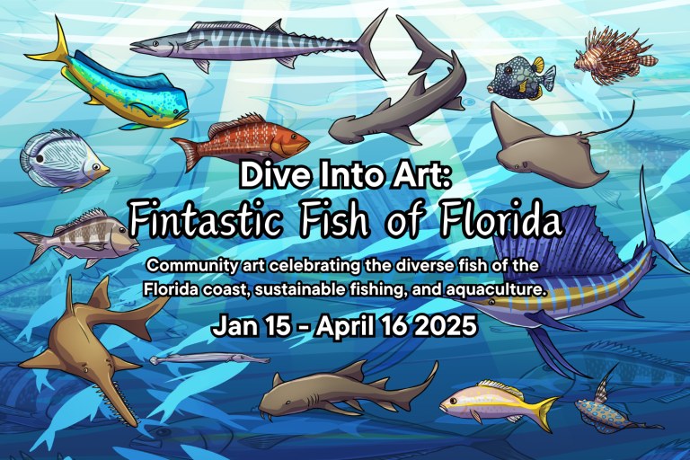 Image for Dive Into Art:Fintastic Fish of Florida
