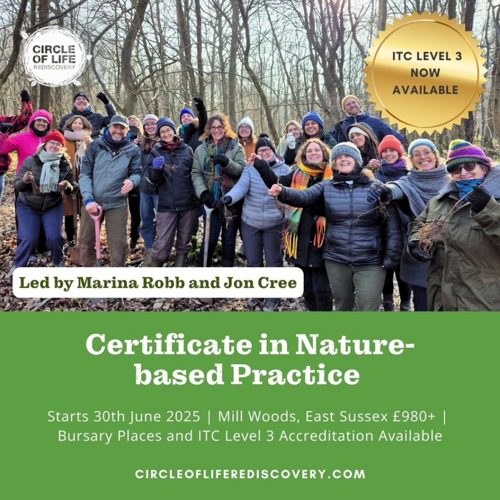 Upcoming FSA Endorsed Training and CPD courses | Forest School Association