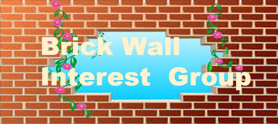 Image for Brick Wall Problem-Solving Special Interest Group
