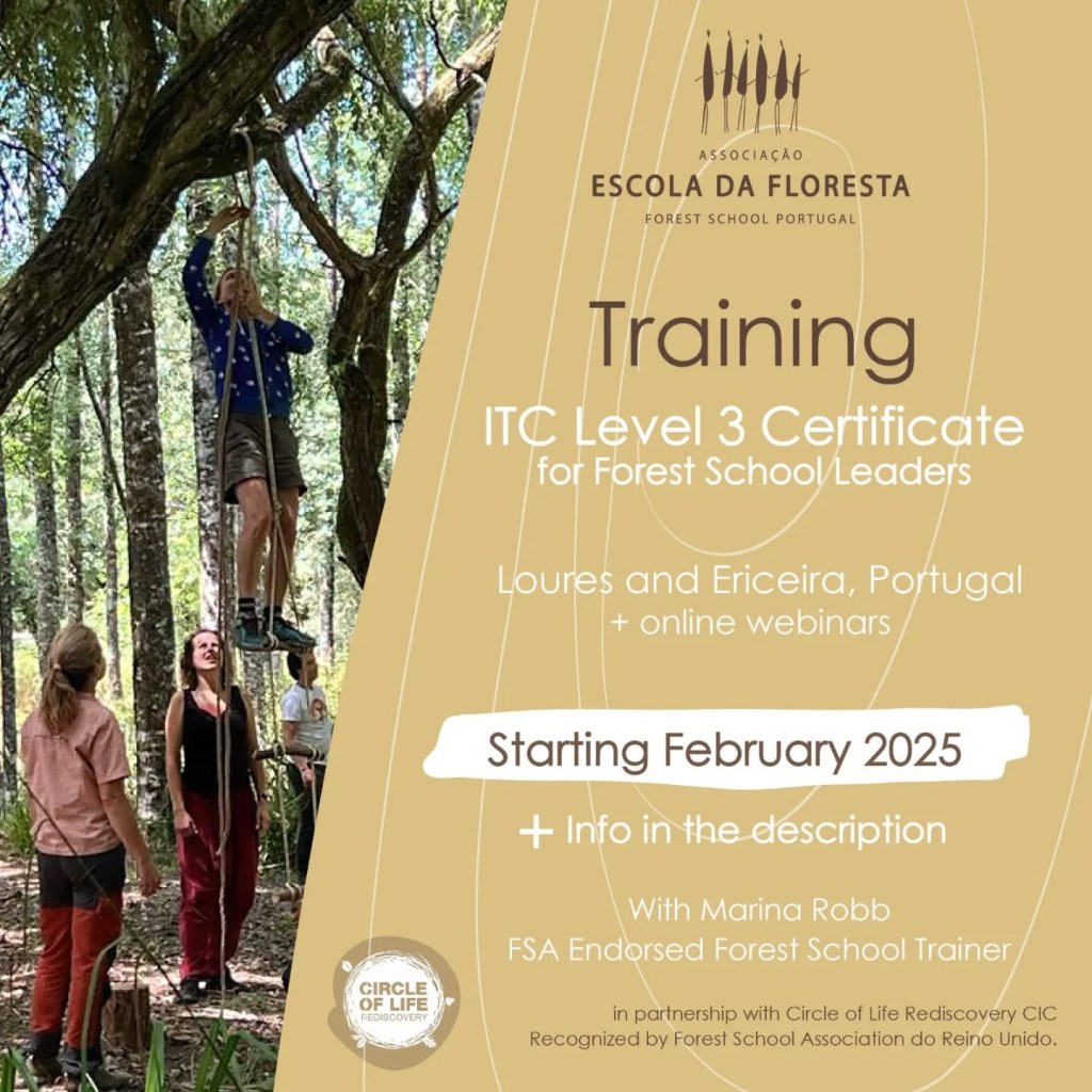 Upcoming FSA Endorsed Training and CPD courses | Forest School Association